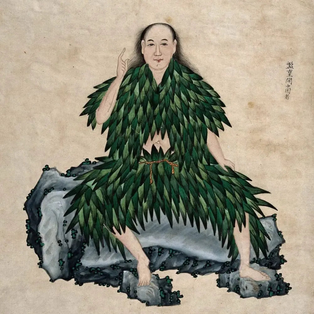 Cannabis dans la Chine Antique - Tout savoir sur le CBD - BioLeaf – Yolka